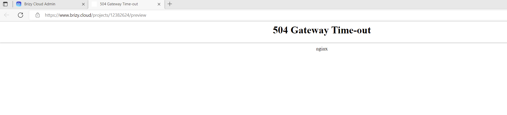 Unable to see my page in a browser – Brizy Help Center