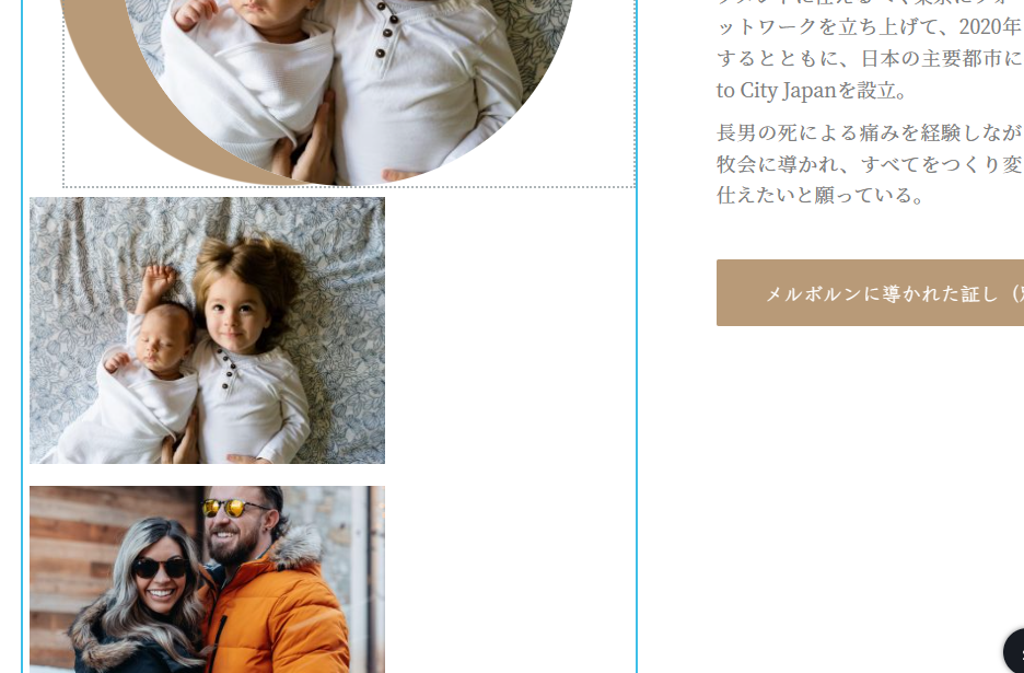 Images Blurry Only on Desktop (Look fine in builder) – Brizy Help Center