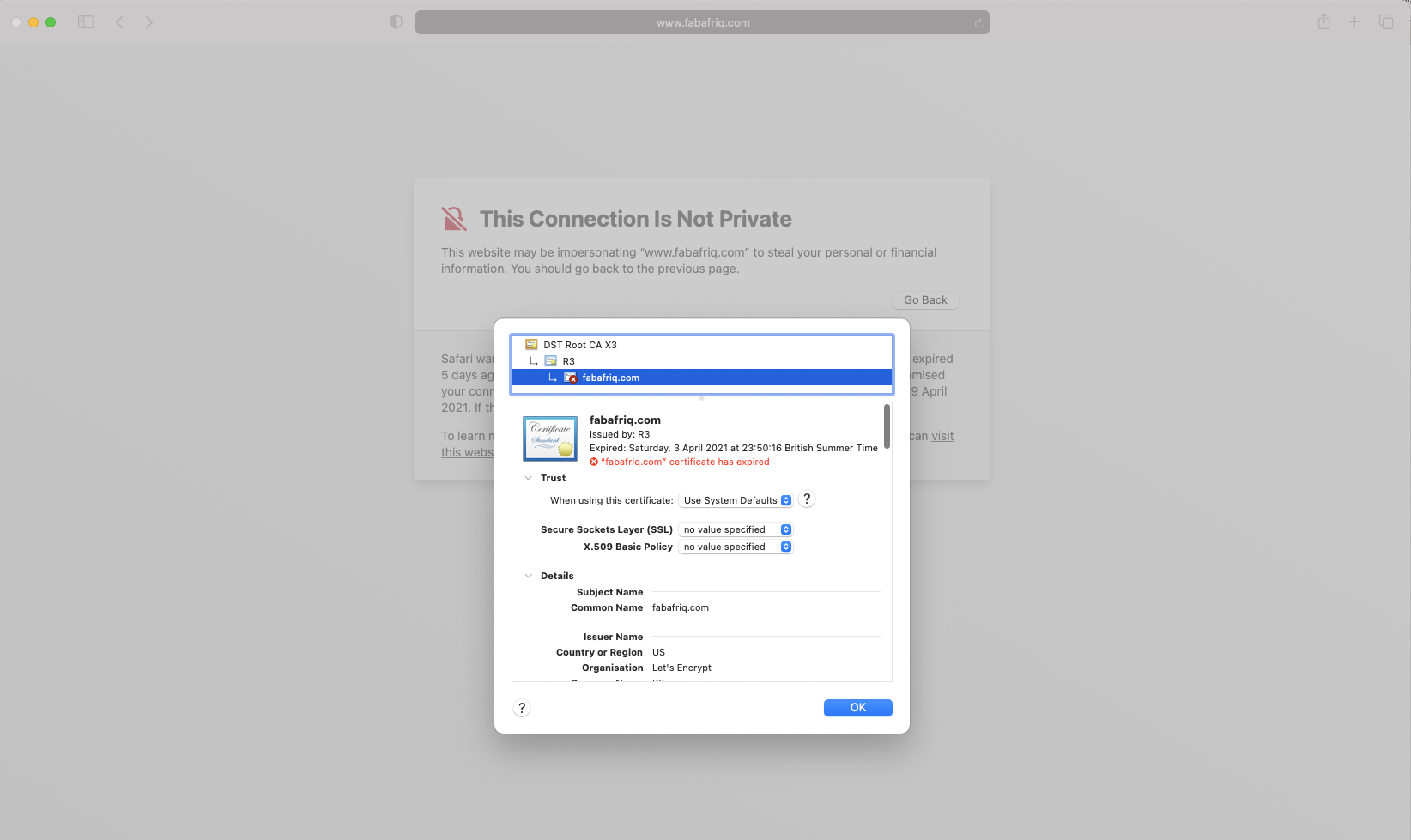 SSL Certificate Expired. – Brizy Help Center